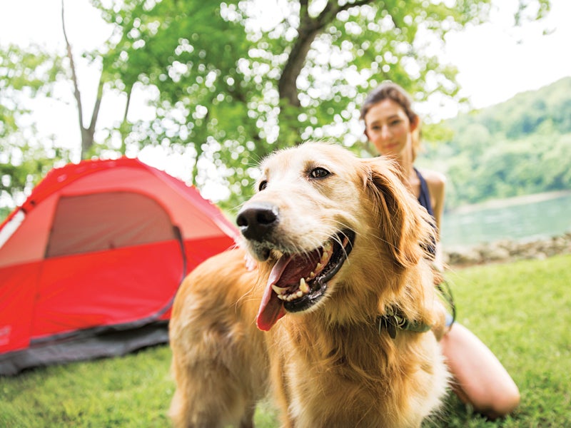 Camping | Arkansas.com