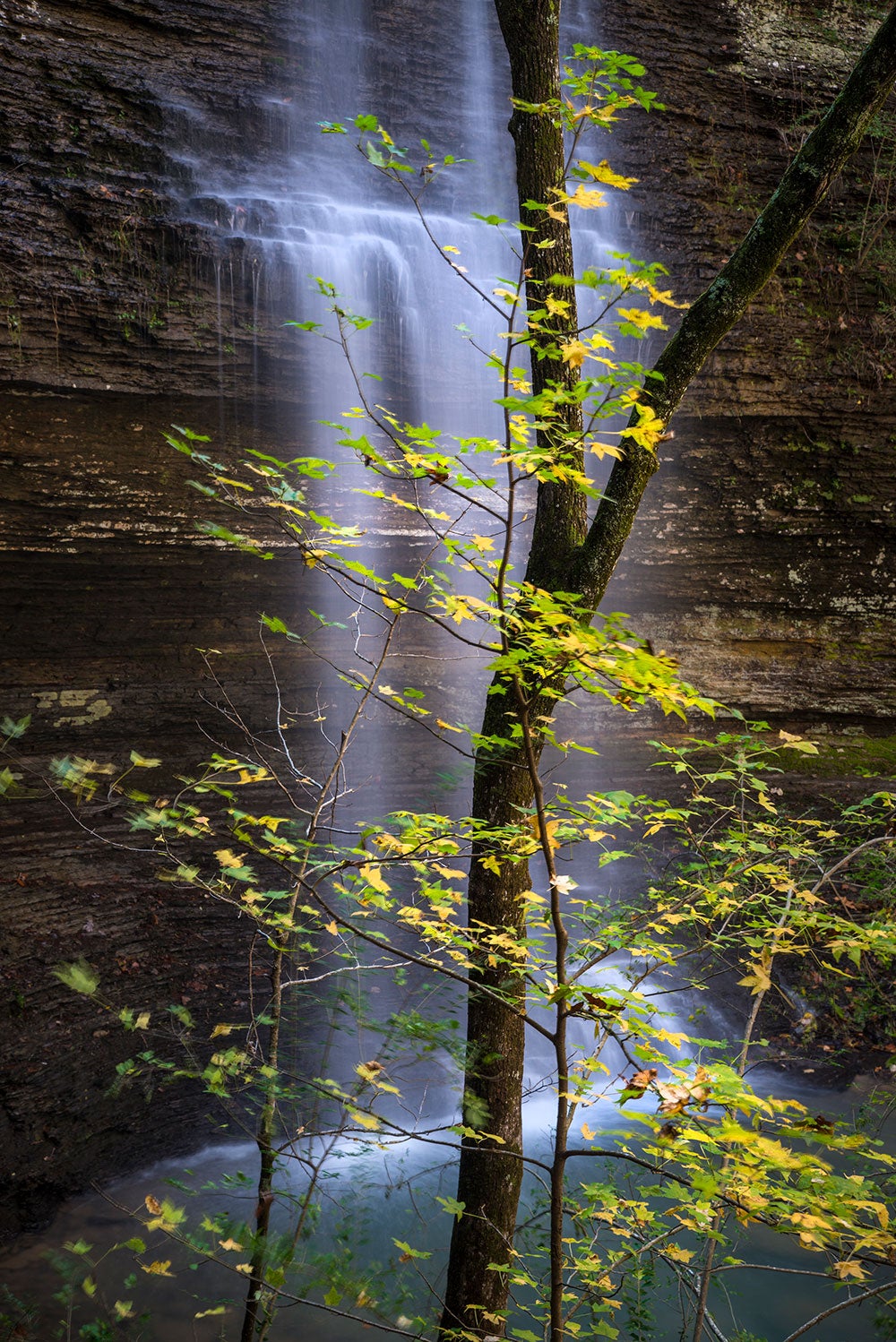 Leave No Trace in The Natural State | Arkansas.com
