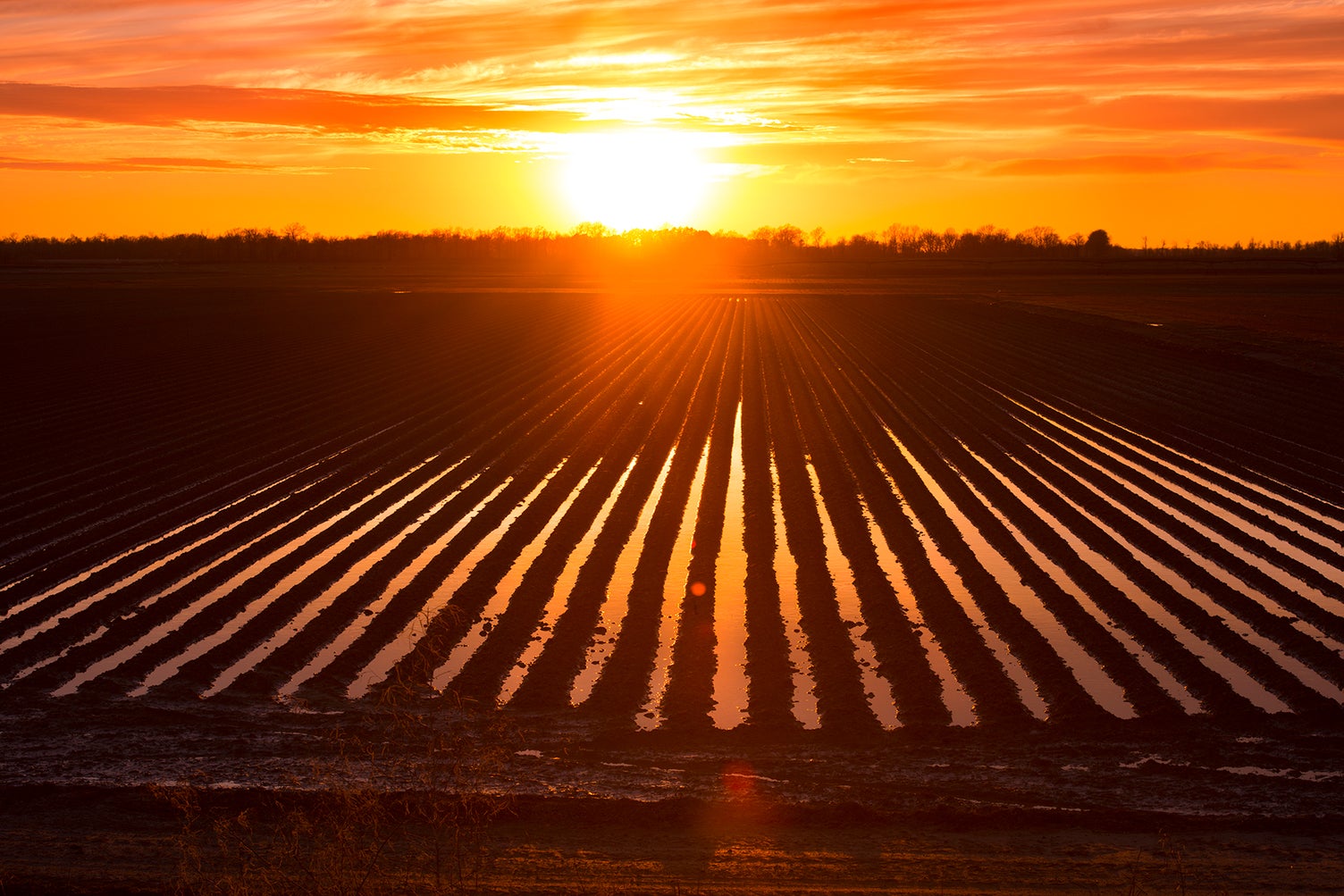 Arkansas Delta on Page and Screen | Arkansas.com