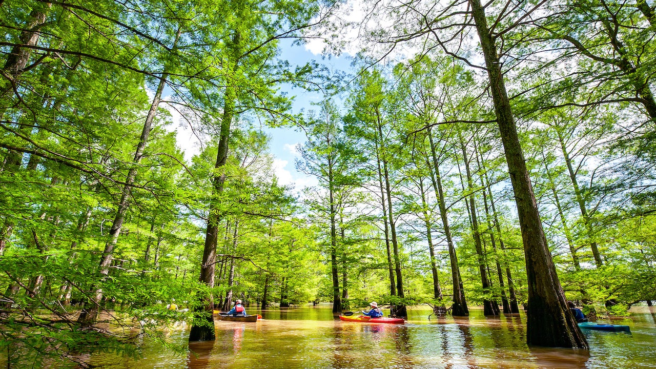 Have a Delta Vacation Like No Other | Arkansas.com