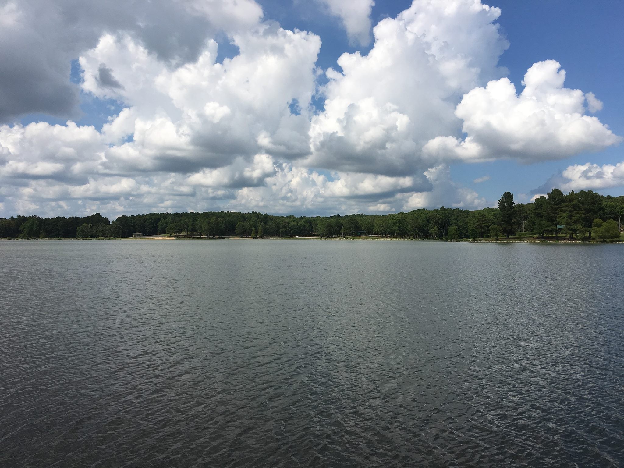 Get Outdoors: Craighead Forest Park in Jonesboro | Arkansas.com