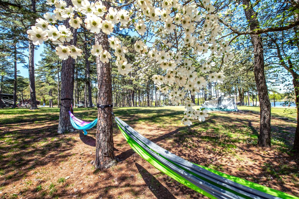 Outdoor Activities | Arkansas.com